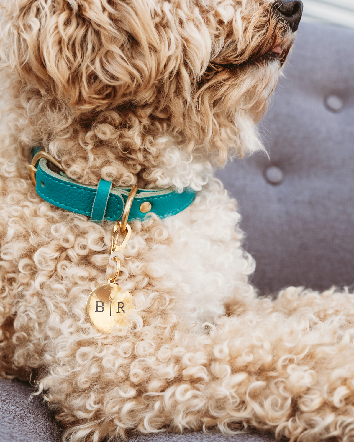 Hondenpenning met naam goudkleurig | Dierenpenningen | DRKS.nl