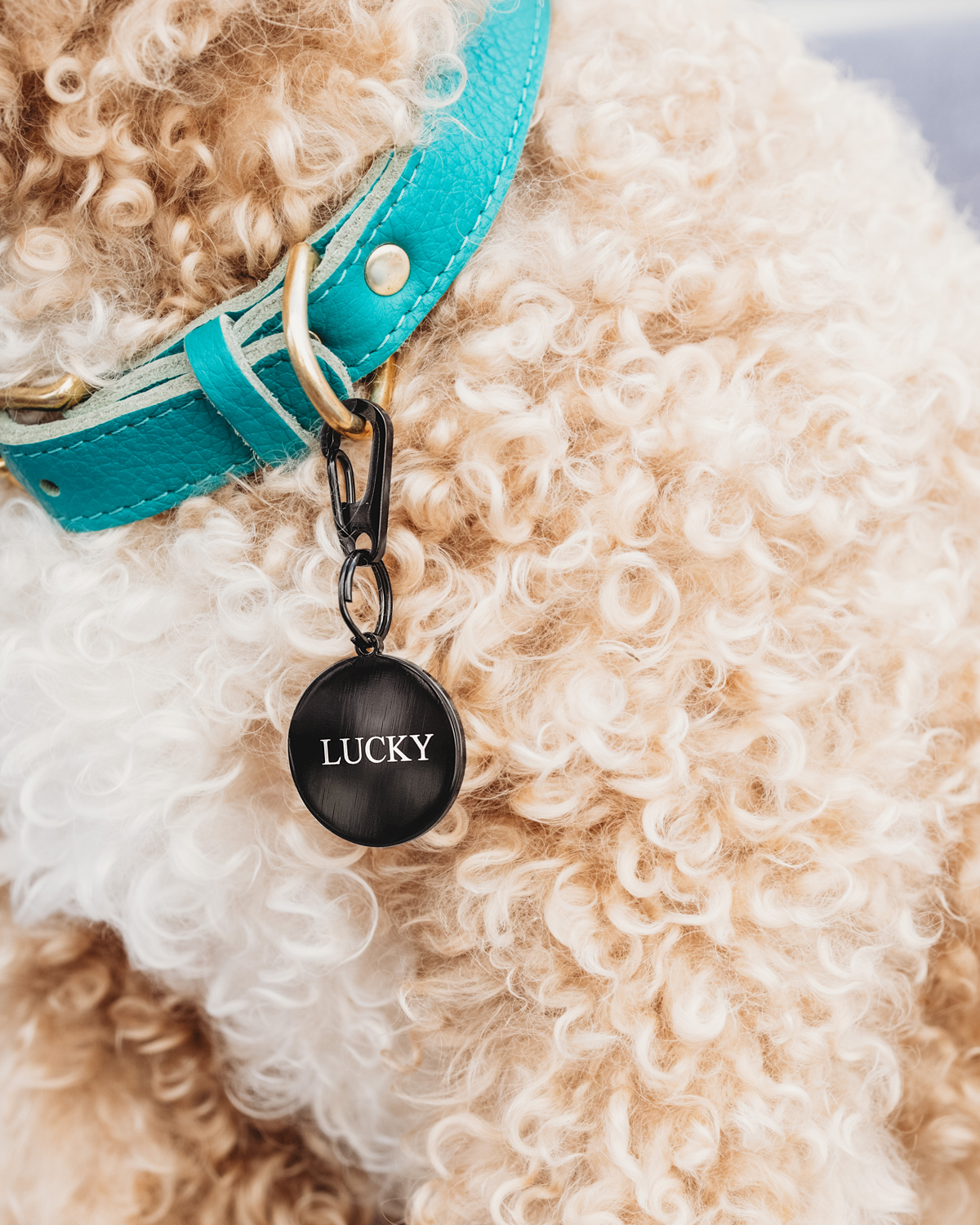 Hondenpenningen | Hondenpenning graveren | Shop DRKS